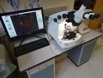 Ultra-microtomes | Electron Microscopy Facility